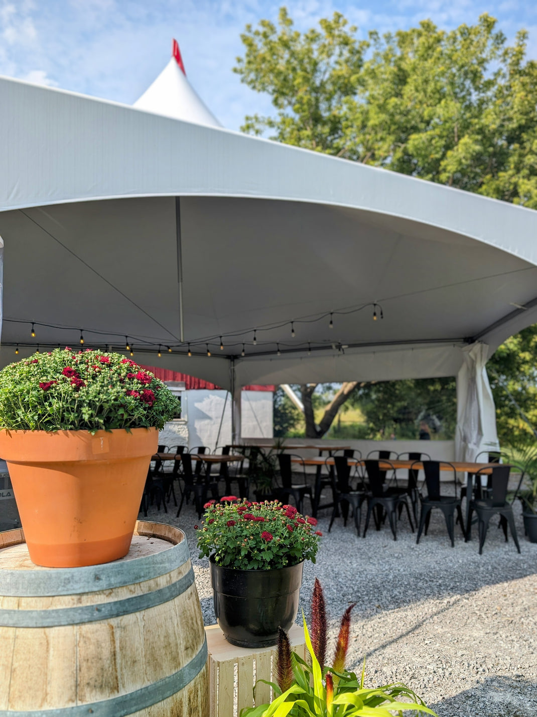 Banjo Cider | Uxbridge, ON